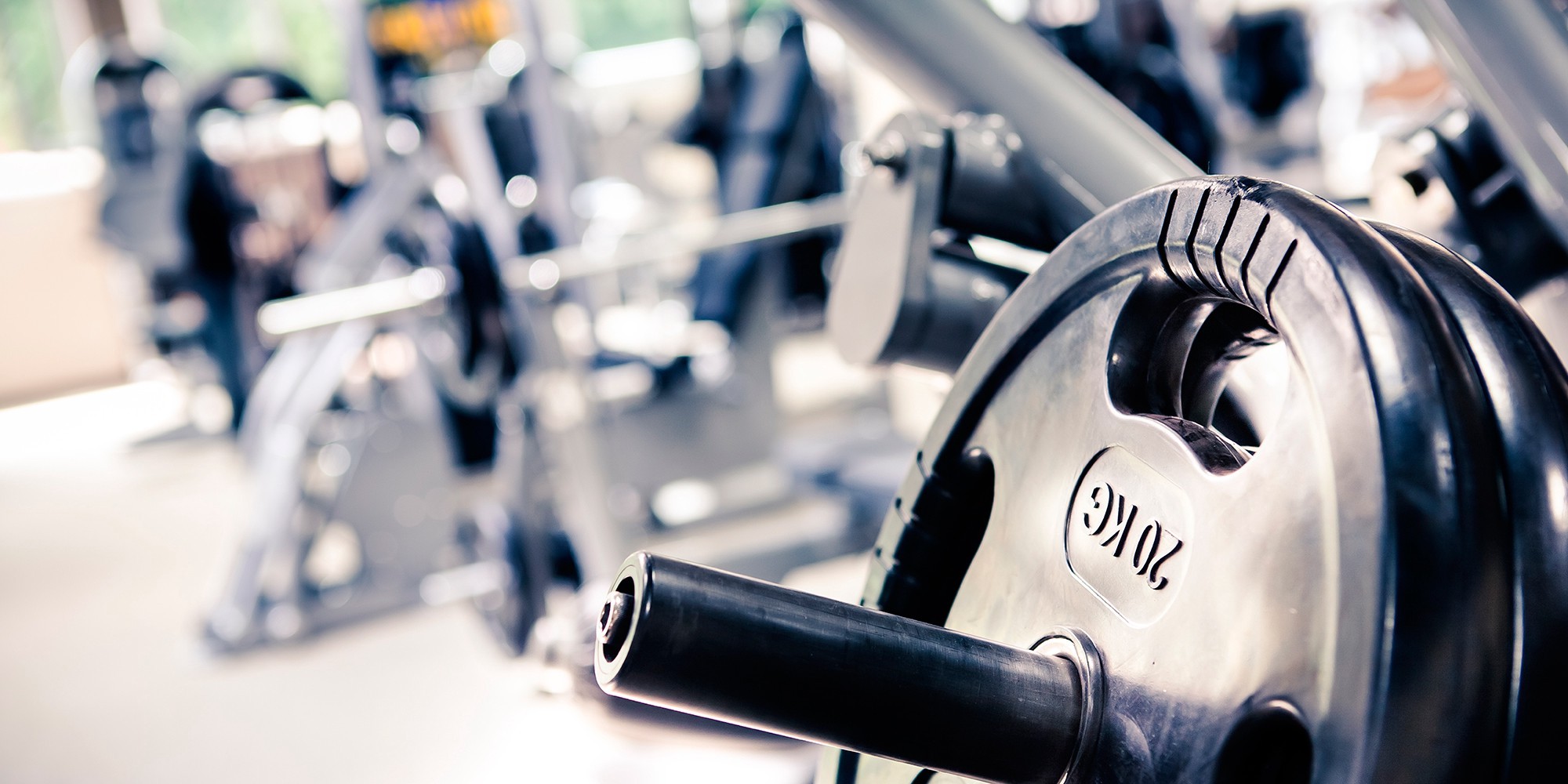 Ergolife Fitness- Fabrica de Equipamentos para Academia